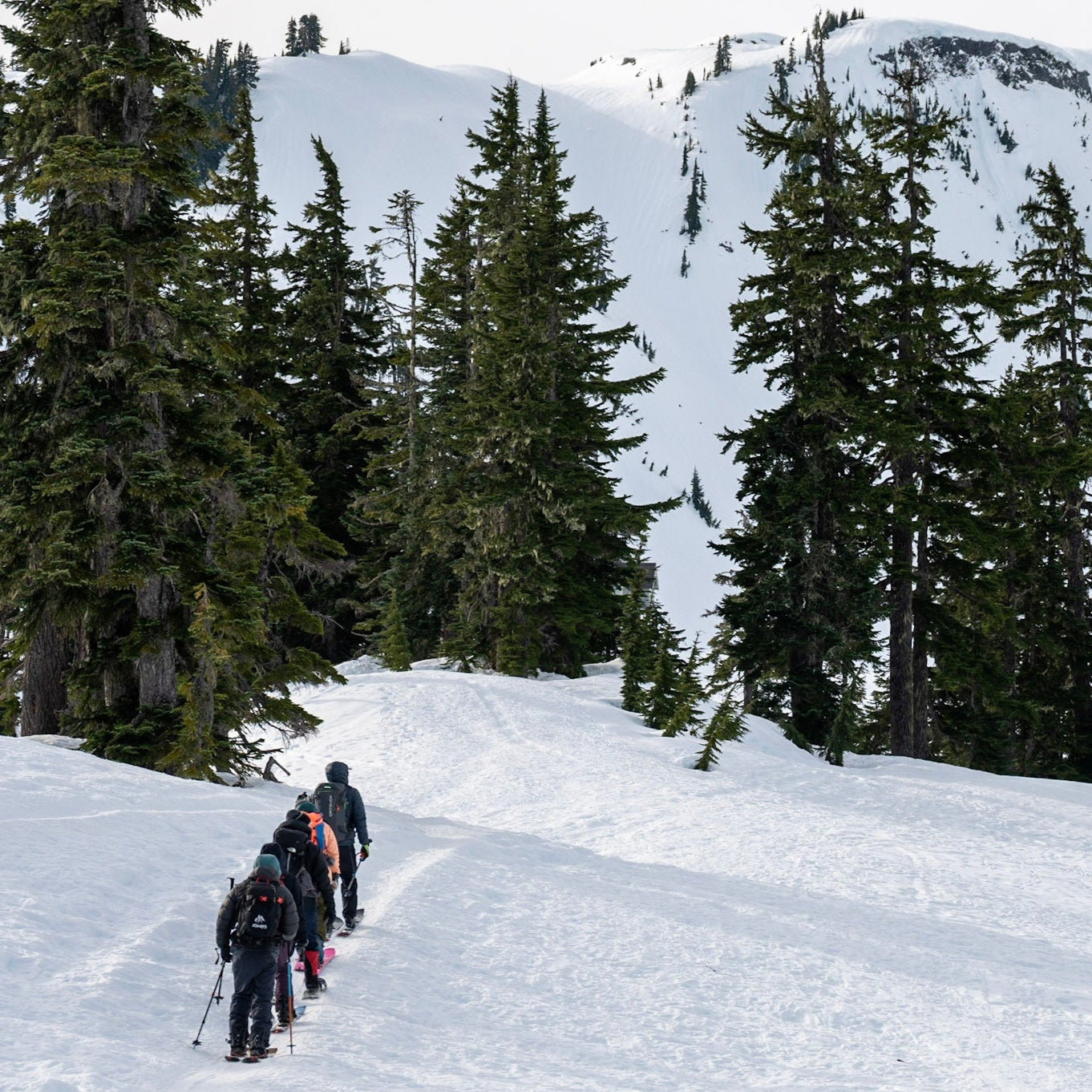 AIARE 1 Mount Baker – Guided Exposure